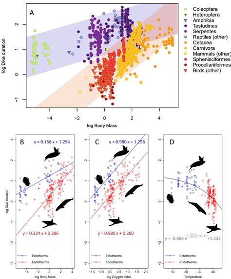 Relationship Between Maximum Dive Duration And Body Mass Colour Coded