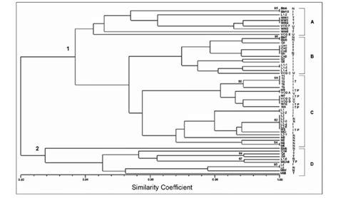 Dendrogram Produced From Calculated Similarity Indices Of Sclerotinia