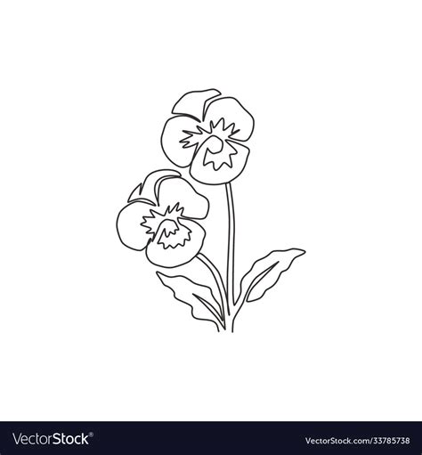 One Continuous Line Drawing Beauty Fresh Violet Vector Image