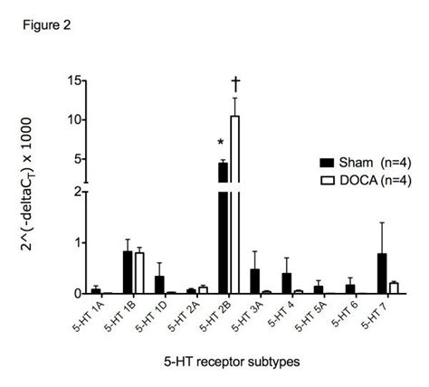 A Mrna Expression Of 5 Ht Receptors In The Superior Mesenteric Artery
