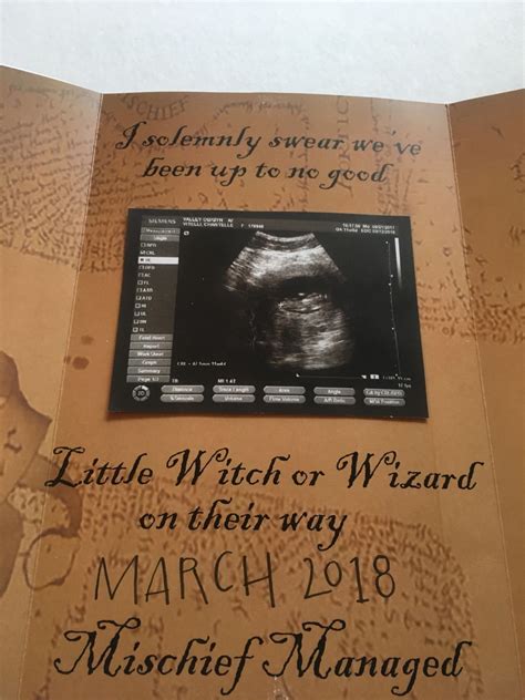 Harry Potter Pregnancy Reveal Gender Reveal Artofit