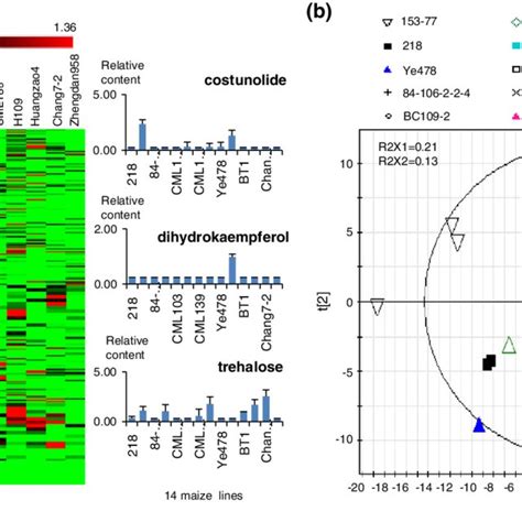 Pdf Metabolic Map Of Mature Maize Kernels