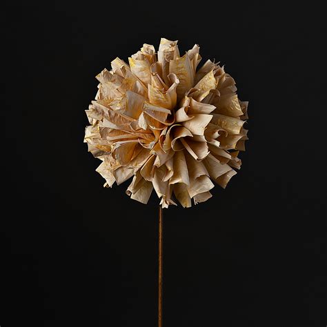 Flor Acacia Belinda Flowers Elaborada En Fibra Natural