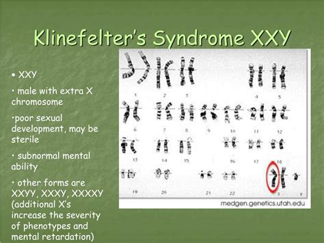 Ppt Genetic Disorders Powerpoint Presentation Free Download Id 6387428