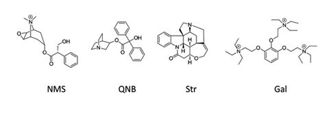 Figures And Data In Allosteric Modulation In Monomers And Oligomers Of