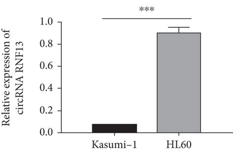 Effect Of Downregulation Of Circrnf13 On Proliferation Of Aml Cells