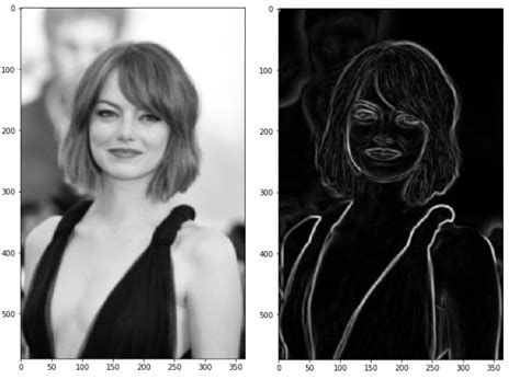 Opencv 3 Canny Edge Detection 2020 Python Codeloop Vrogue