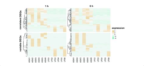 Differentially Expressed Genes At 1 H And 6 H After Lps Exposure The