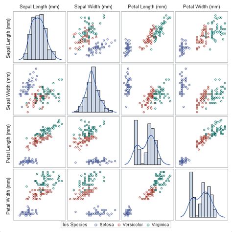 Visualizing Correlations Between Variables In Sas The Do Loop