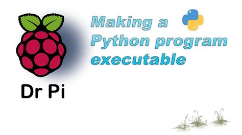 raspberry pi make a python script executable youtube