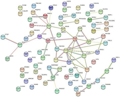 Ijms Free Full Text Transcriptome Analysis Reveals The Multiple
