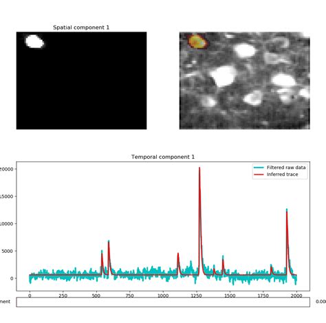 Calcium Imaging Analysis Tool Caiman Setup Python