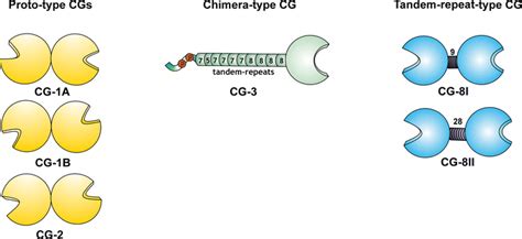 Schematic Illustration Of The Three Types Of Modular Arrangement Of