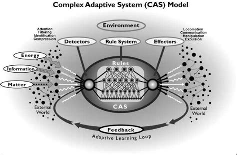 5 An Example Of A Complex Adaptive System Model Mcelroy 2000