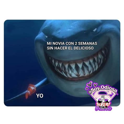 Te Amo Mucho Y Quiero Que Seas Mi Pendeja Pareja Memes