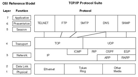 Novell Documentation Netware 6 The Tcp Ip Suite Of Protocols