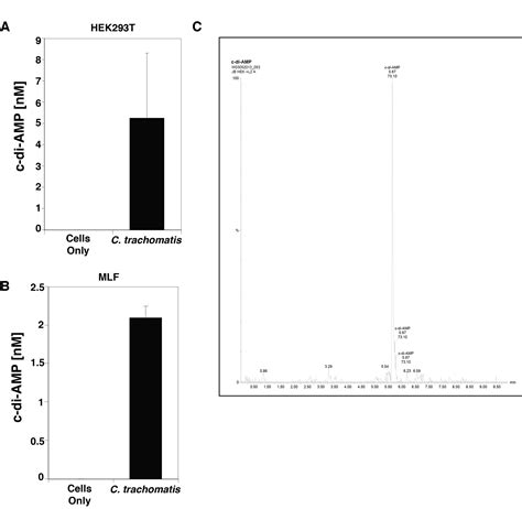 Sting Dependent Recognition Of Cyclic Di Amp Mediates Type I Interferon
