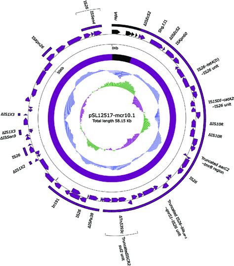 Schematic Map Of Plasmid Psl12517 Mcr10 1 Genes Are Denoted By Arrows