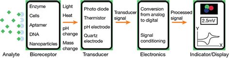 Learn About Wearable Biosensors Element14 Community