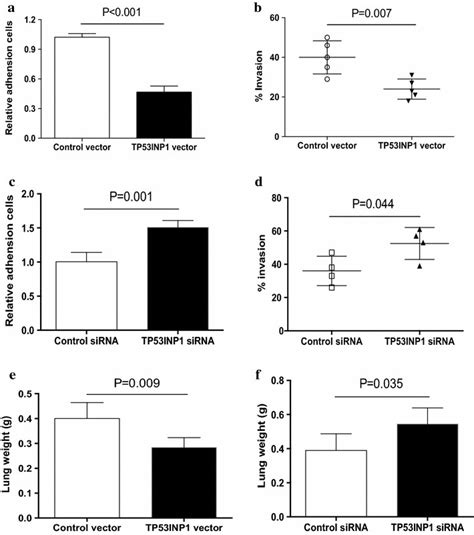 Tp53inp1 Suppressed Nsclc Metastasis A B Nsclc Cells From Different