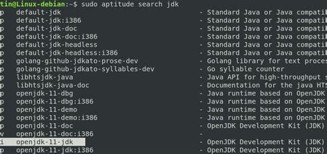 verify java installation on debian and check the installed version if