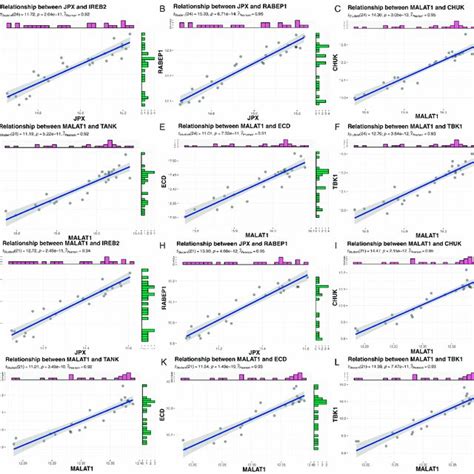 Validation Of The Correlation Of Immune Related Lncrna Mrna Pairs