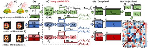 Framework Of Three‐way Parallel Group Independent Component Analysis