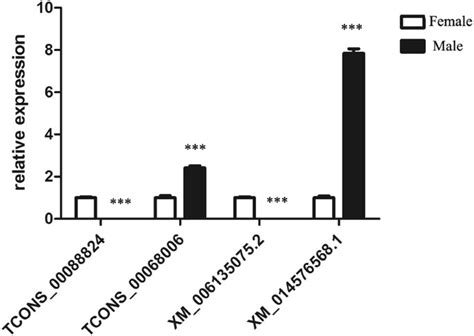 screening and characterisation of sex differentiation related long non