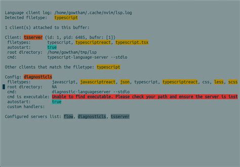 neovim spawning language server with cmd`diagnostic languageserver