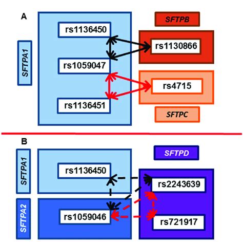 Association Of Snp Snp Interactions Of Sp Genes With Pdad A Shows