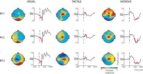 Waveform Selection Using Pca And Cross Correlation Analysis For Each