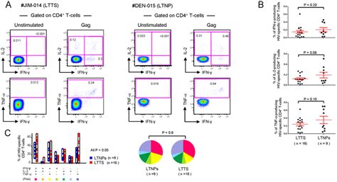 Functional Cytokine Profile Of Hiv 1 Gag Specific Cd4 T Cells A