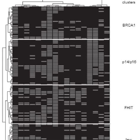 Unsupervised Hierarchical Clustering Analysis Of 104 Diffuse Type