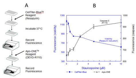 Figure 8 [panel A Shows The Steps ] Assay Guidance Manual Ncbi