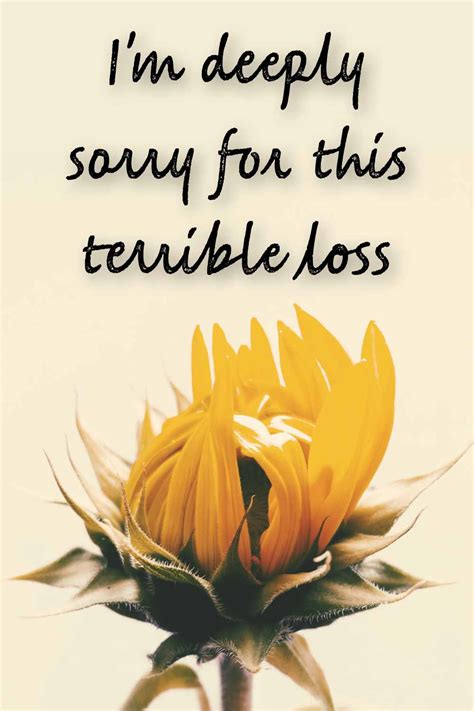 35 Heartfelt Sorry For Your Loss Quotes With Images Sympathy Message