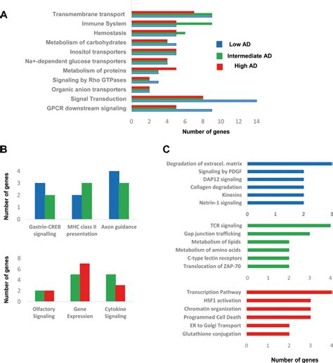 Functional Metrics Of The Differential Ob Transcriptome Across Ad