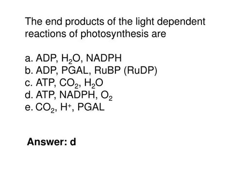 Ppt The End Products Of The Light Dependent Reactions Of