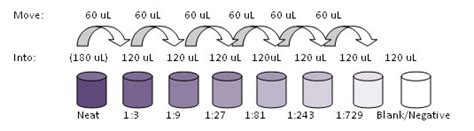 Dilutions Explanations And Examples Of Common Methods Biolympiads