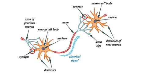 mathematical foundation for activation functions in artificial neural