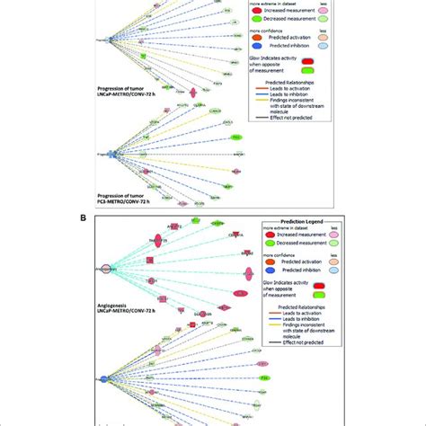 Ingenuity Pathway Analysis Predictions A Ipa Predicted Higher