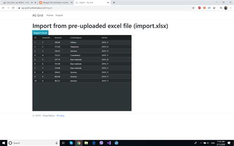my developer journey ag grid tutorial with asp core razor pages