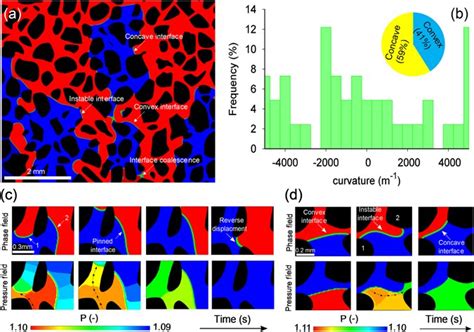 New Insights On The Complex Dynamics Of Two Phase Flow In Porous Media