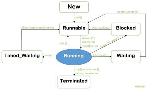 life cycle of a thread in java codedost