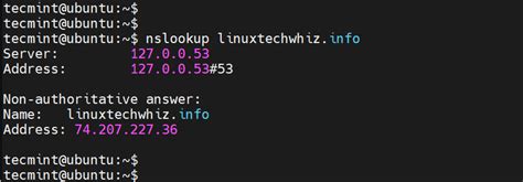 Check Dns Server In Linux Posetke