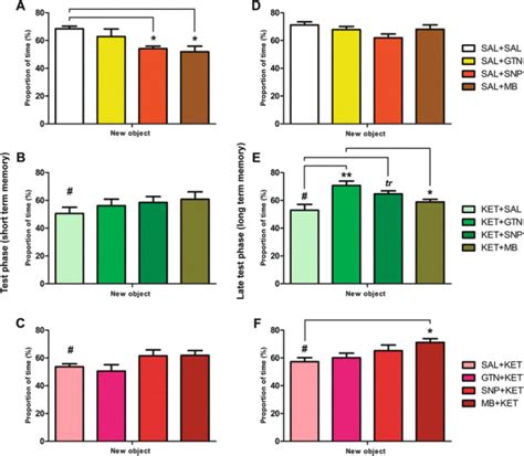 Object Recognition Memory Test Phase 30 Min After First Object