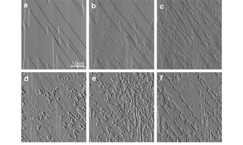 Sequence Of Afm Deflection Images Showing A C The Dissolution Of The