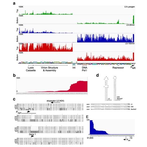 Read Coverage Rna Seq Coverage Of The Kampy Genome At 5 A 15 B