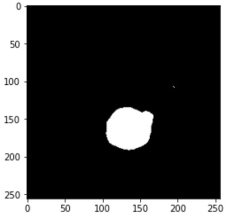 python why does skimage regionprops return 4 values for the area