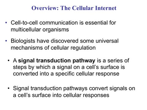 Ch 11 Ppt Cell Communication
