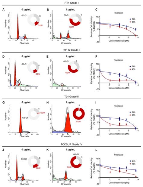 Paclitaxel Treatment Induces Cell Cycle Arrest And Growth Inhibition In